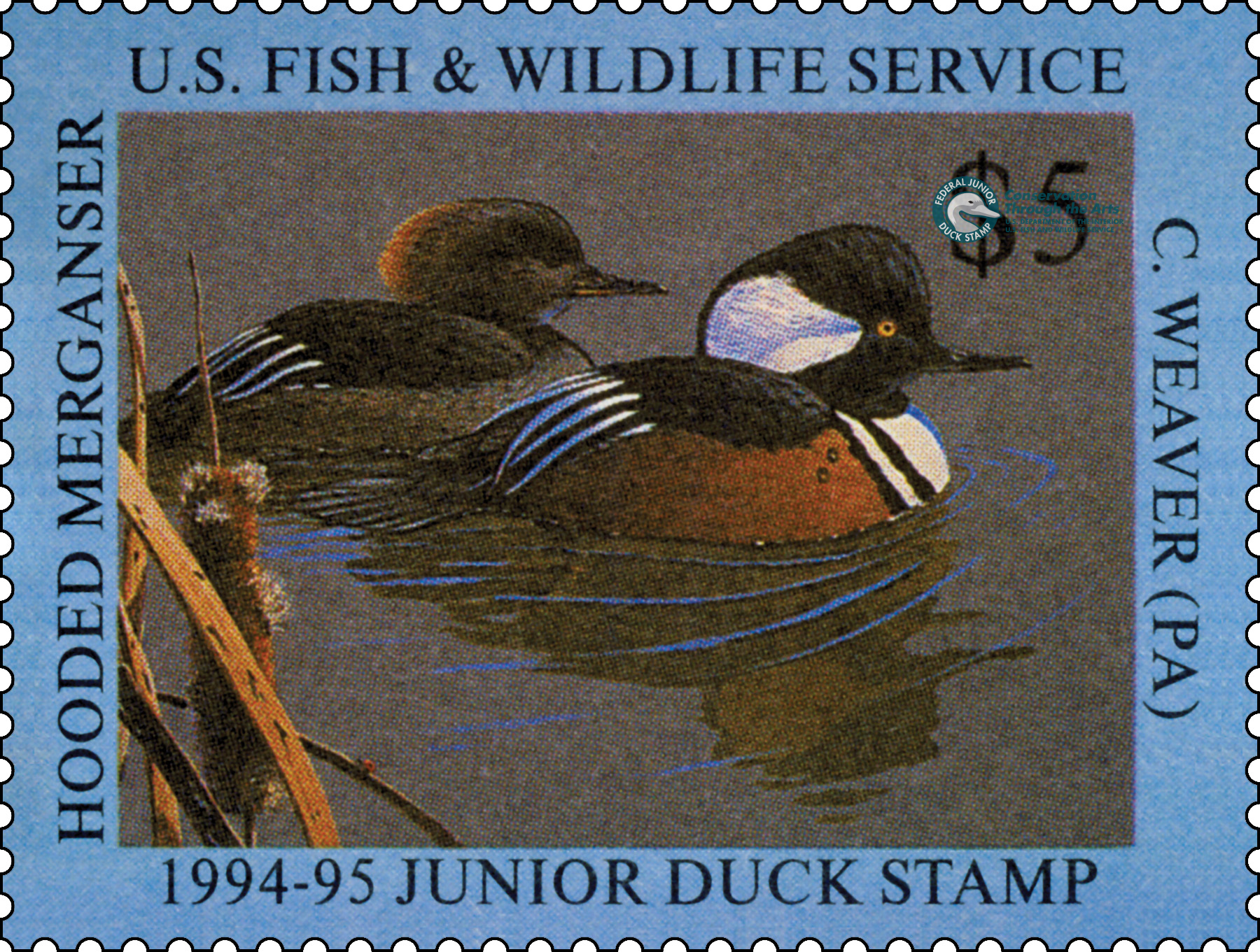 Junior Duck Stamp 1994-1995 | FWS.gov