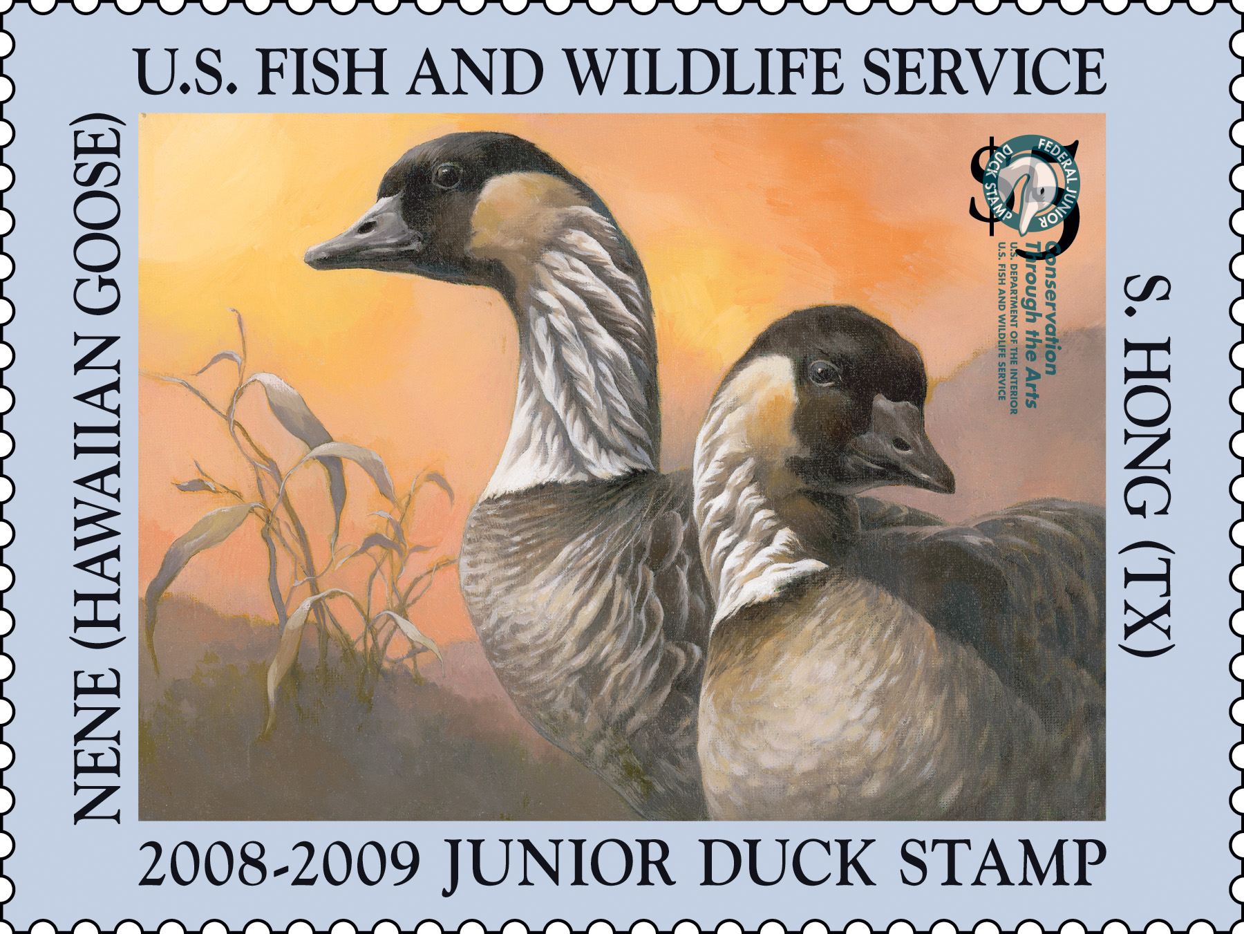 Junior Duck Stamp 2008-2009 | FWS.gov