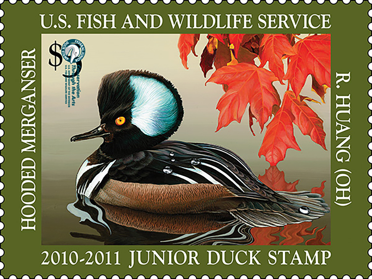 Junior Duck Stamp 2010-2011 | FWS.gov