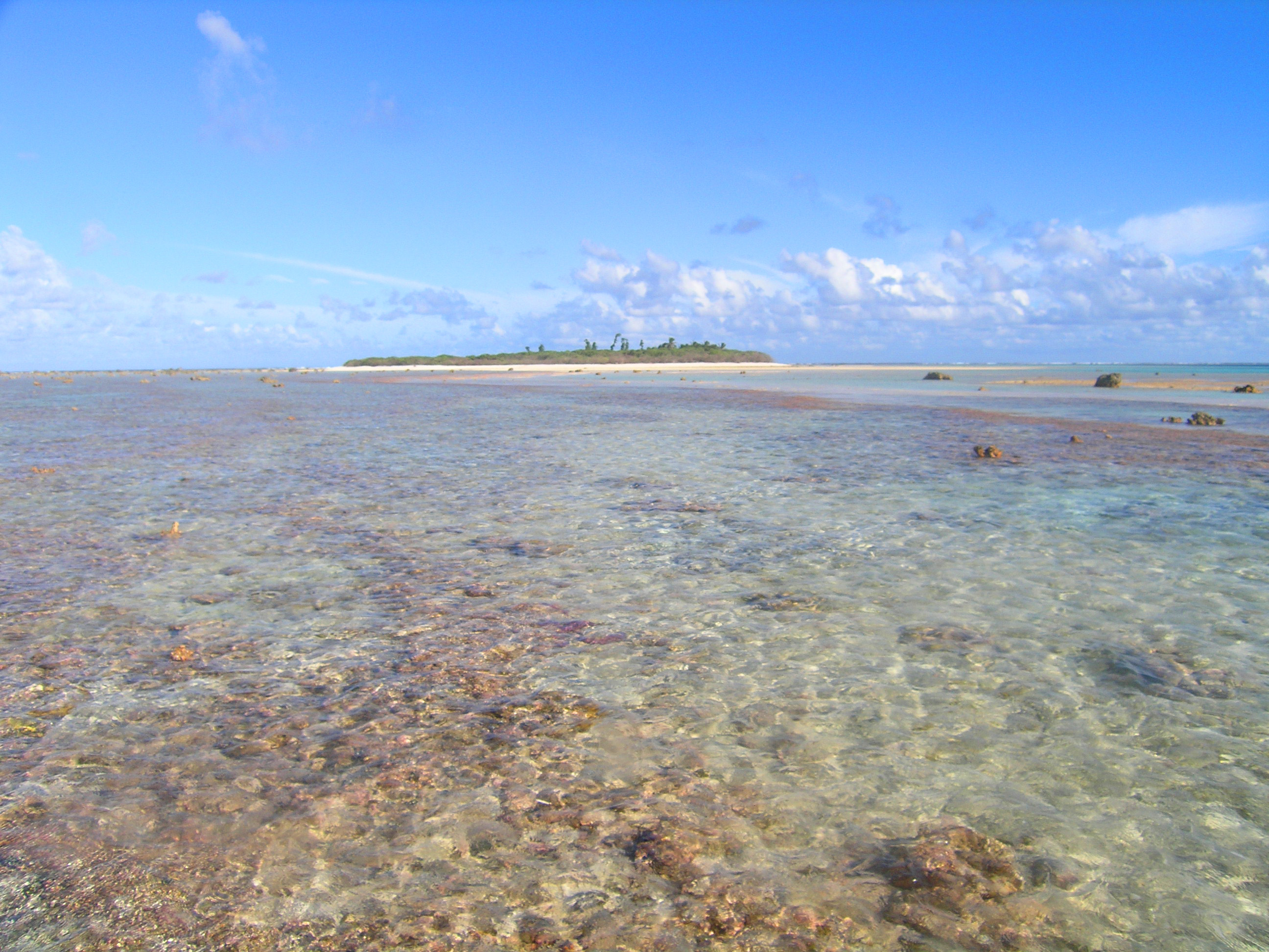 Rose Island from NE reef.JPG | FWS.gov