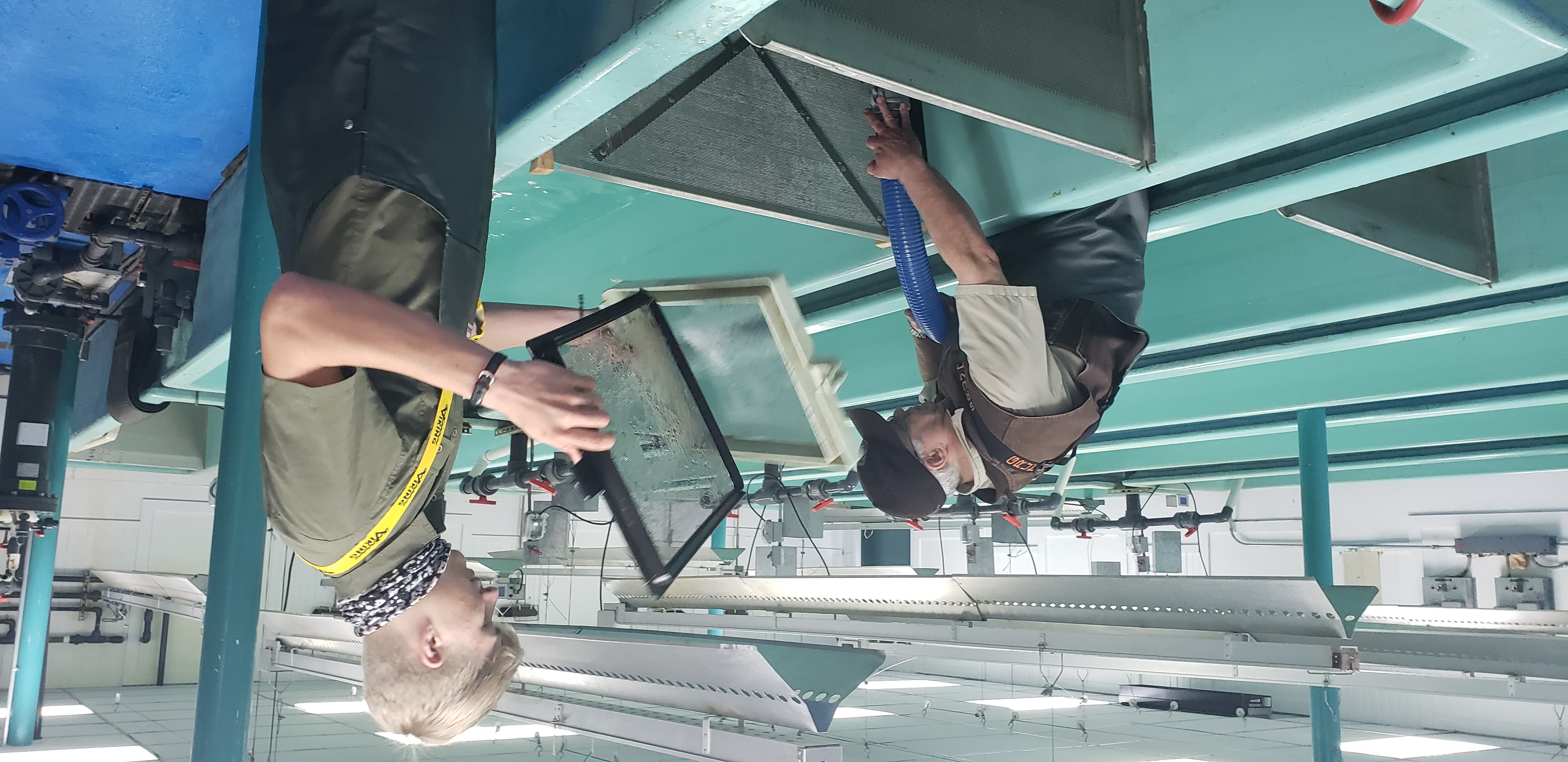 hatchery volunteer | FWS.gov