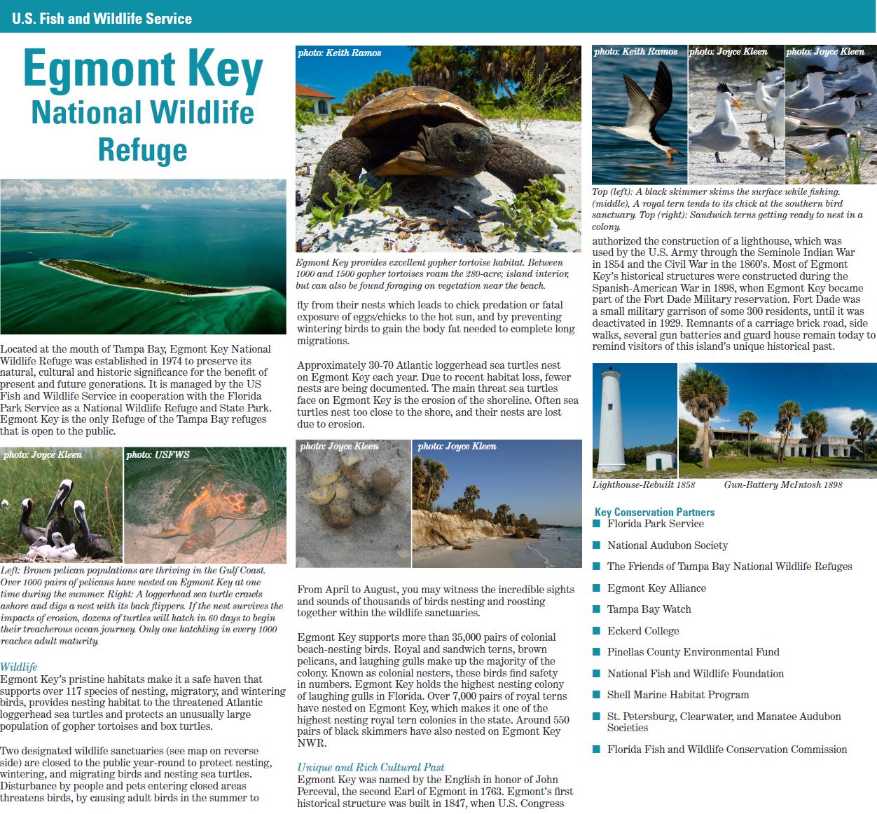 Egmont Tear Sheet | FWS.gov