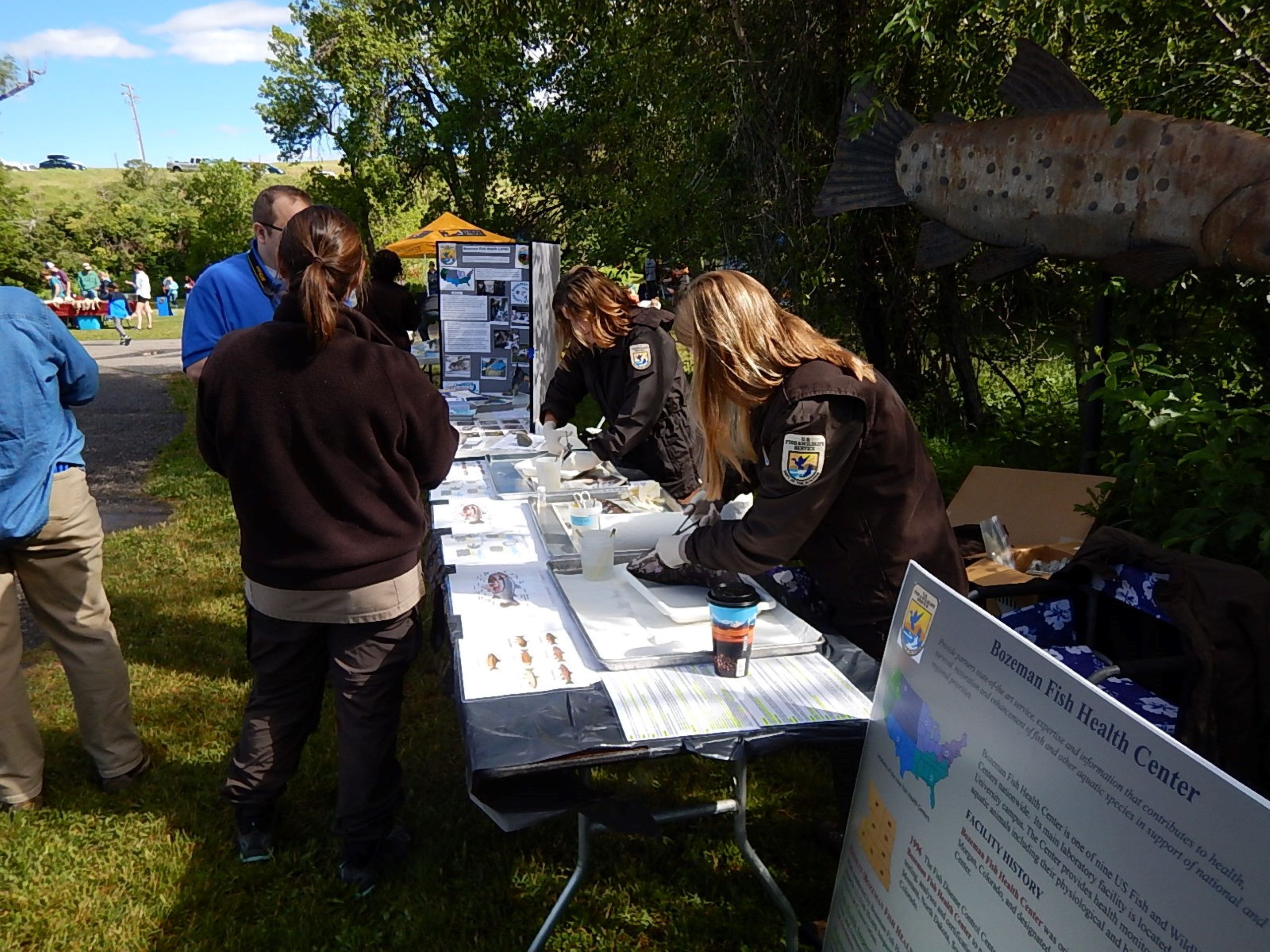 Fishing derby-fish Dissection.JPG | FWS.gov