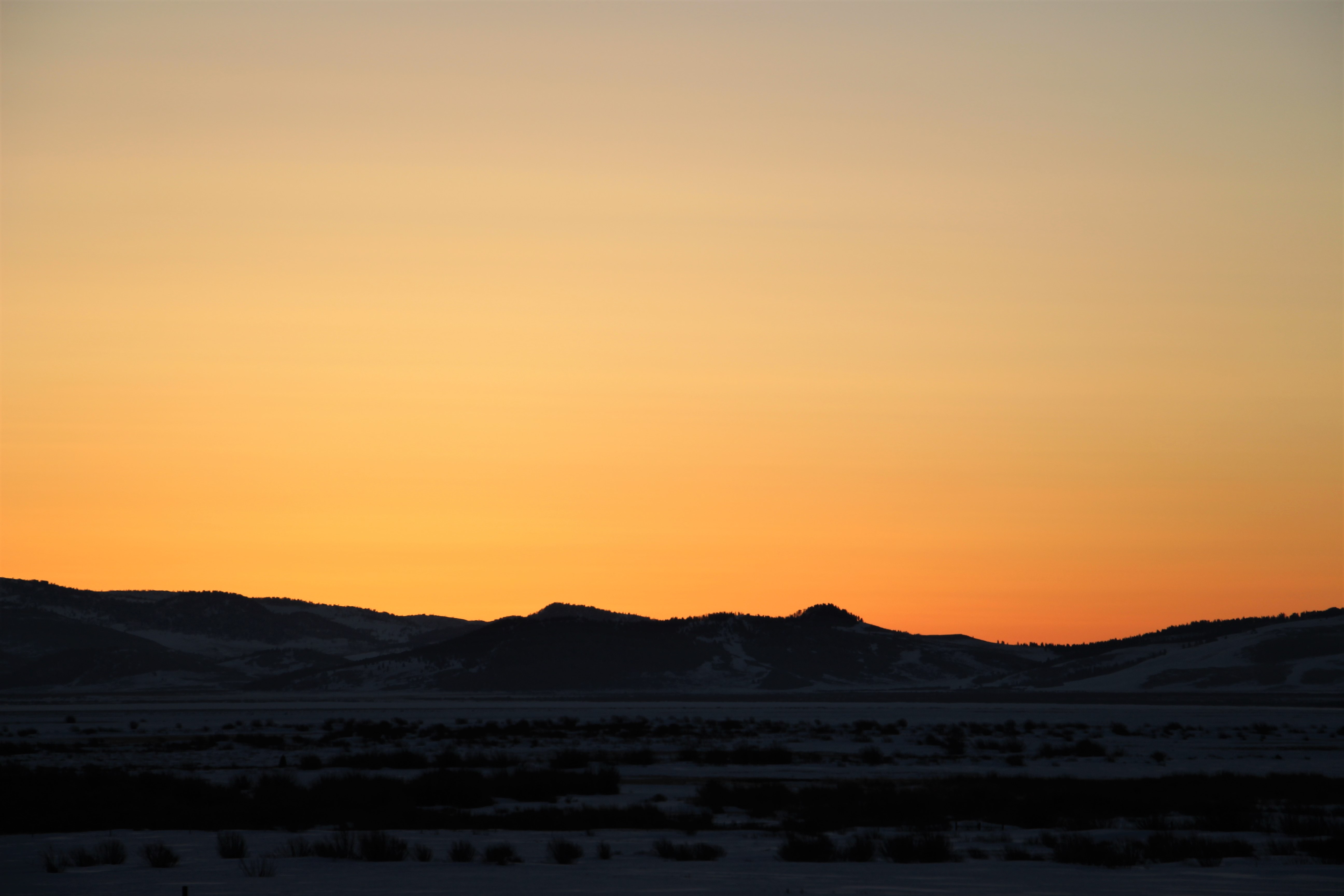 Orange-rise | FWS.gov