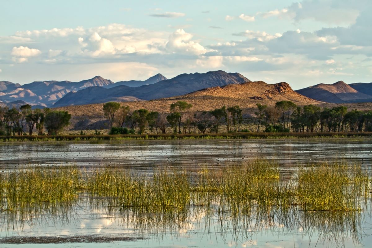 Upper Lake Pahranagat NWR | FWS.gov