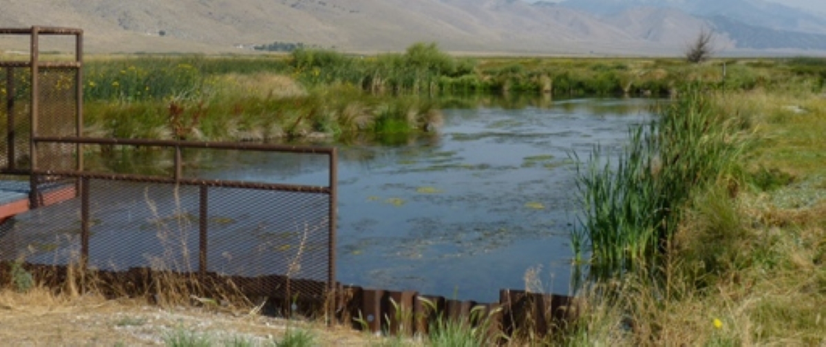 Collection ditch and water control structure by Wendy Malone.JPG | FWS.gov