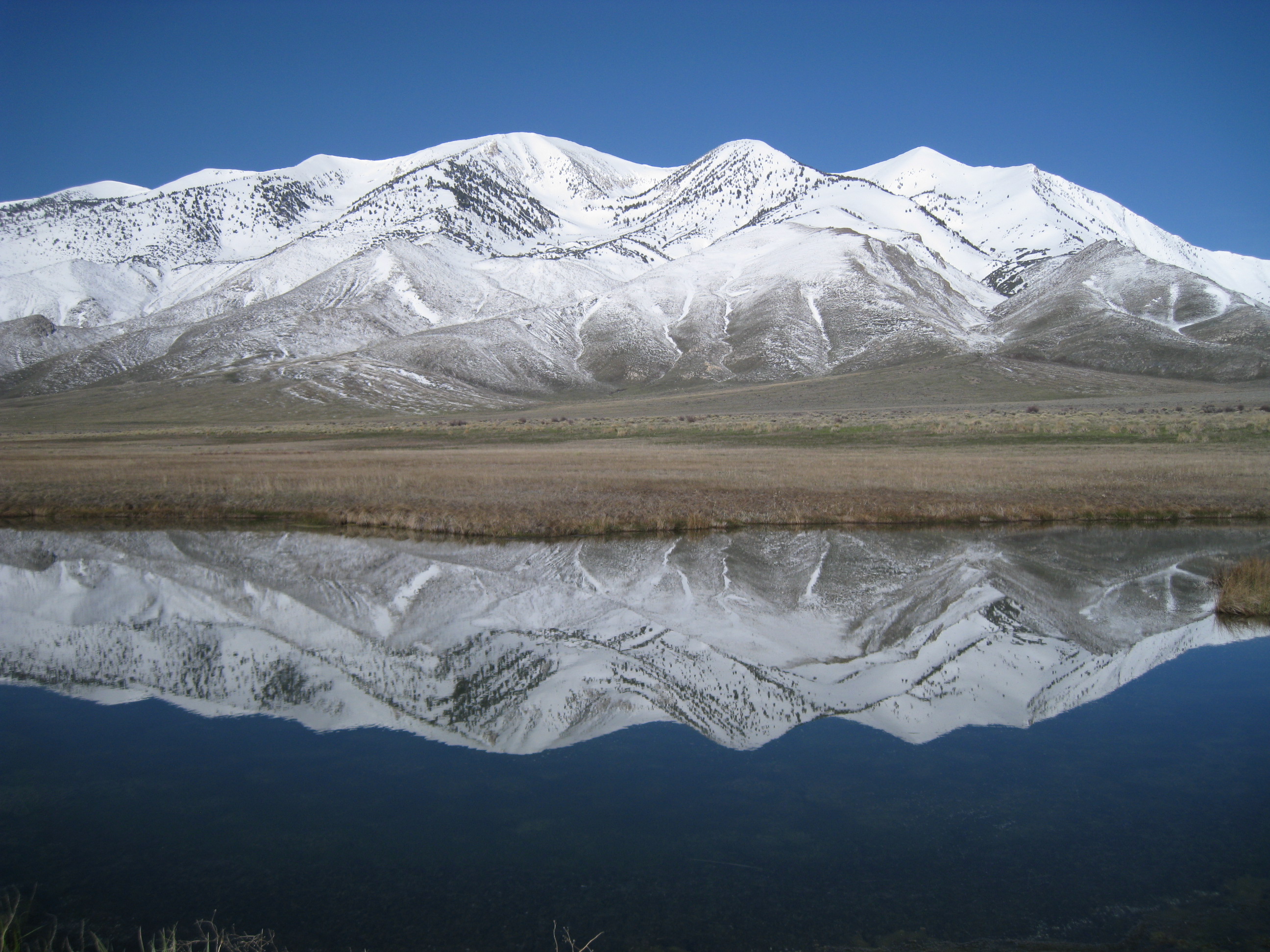 Ruby Mountains reflected in Ruby Marsh | FWS.gov