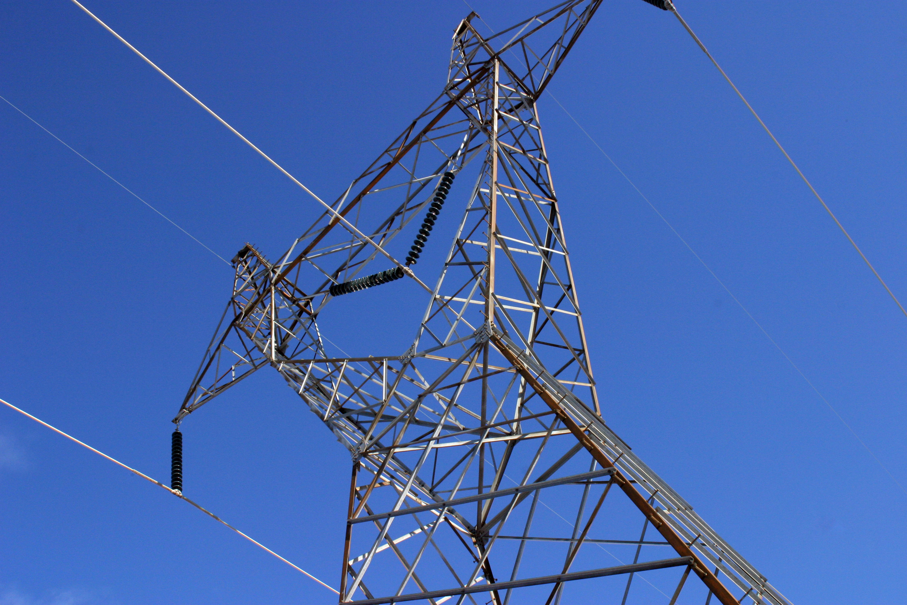 Electrical transmission | FWS.gov