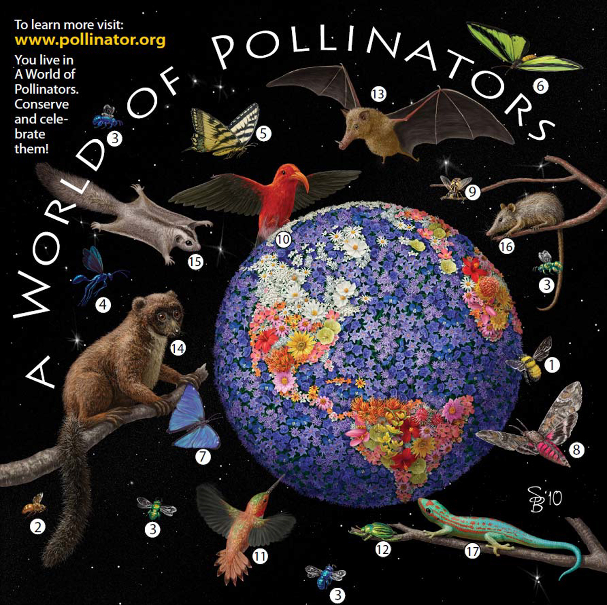 World of Pollinators.jpg | FWS.gov