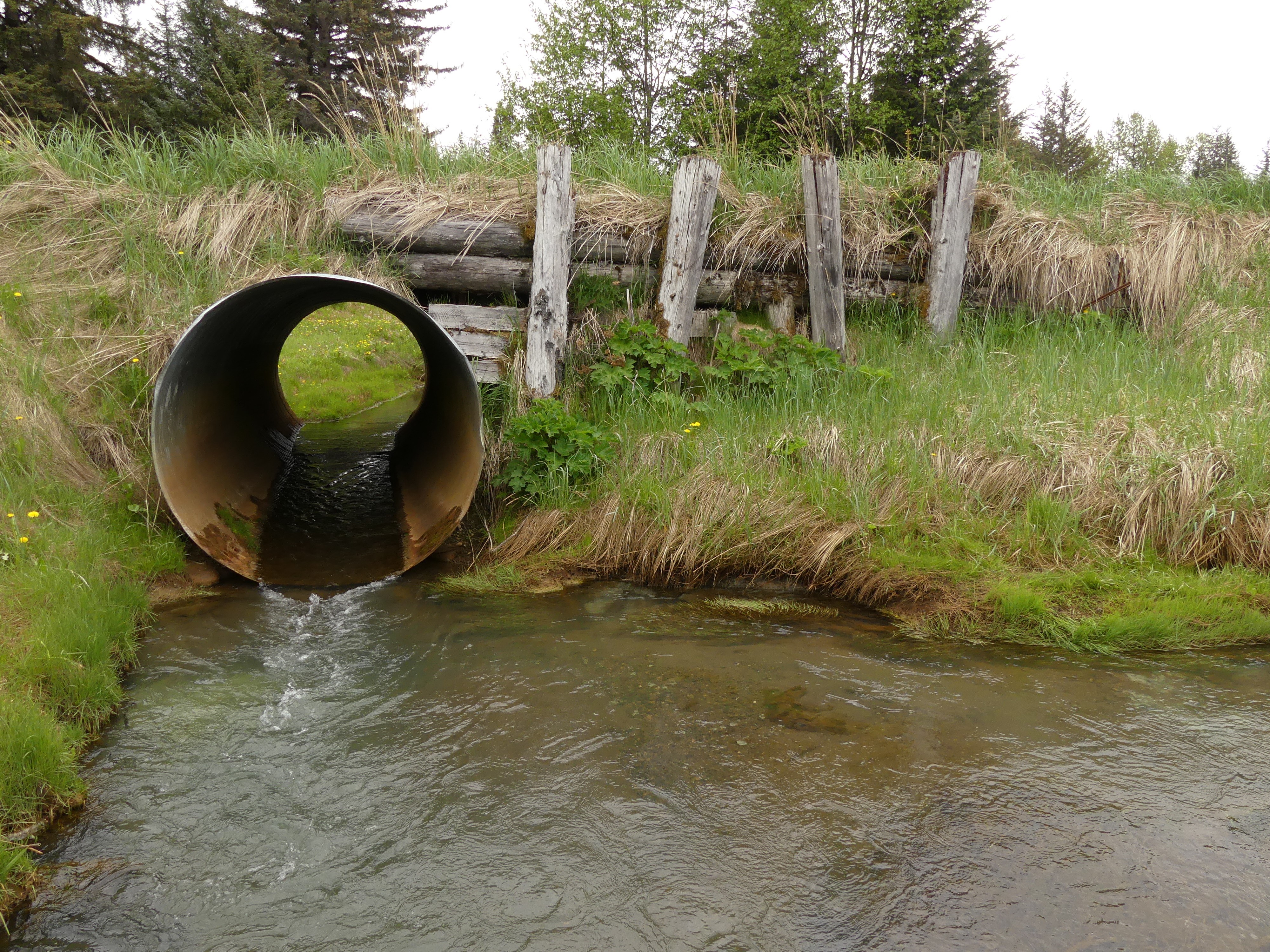 a perched culvert pinching a stream.png | FWS.gov