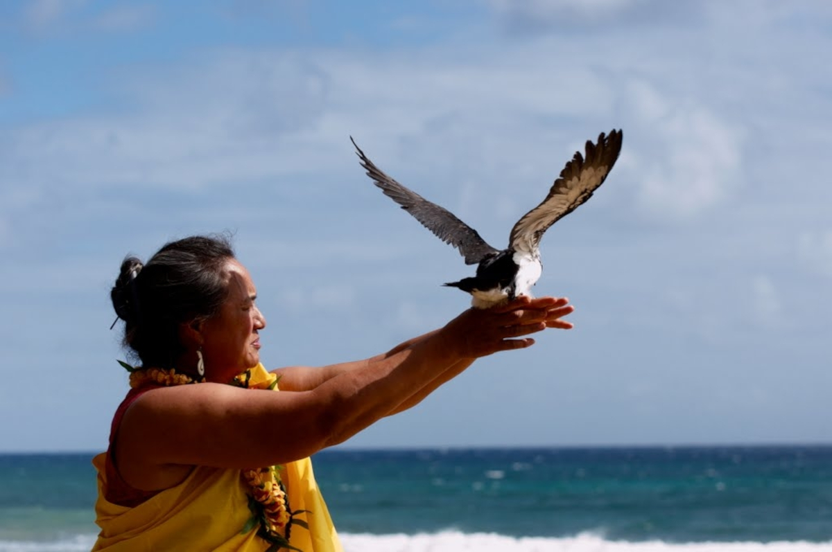 Hawaiian Cultural Ceremony at Kilauea Point Refuge, Hawaii | FWS.gov
