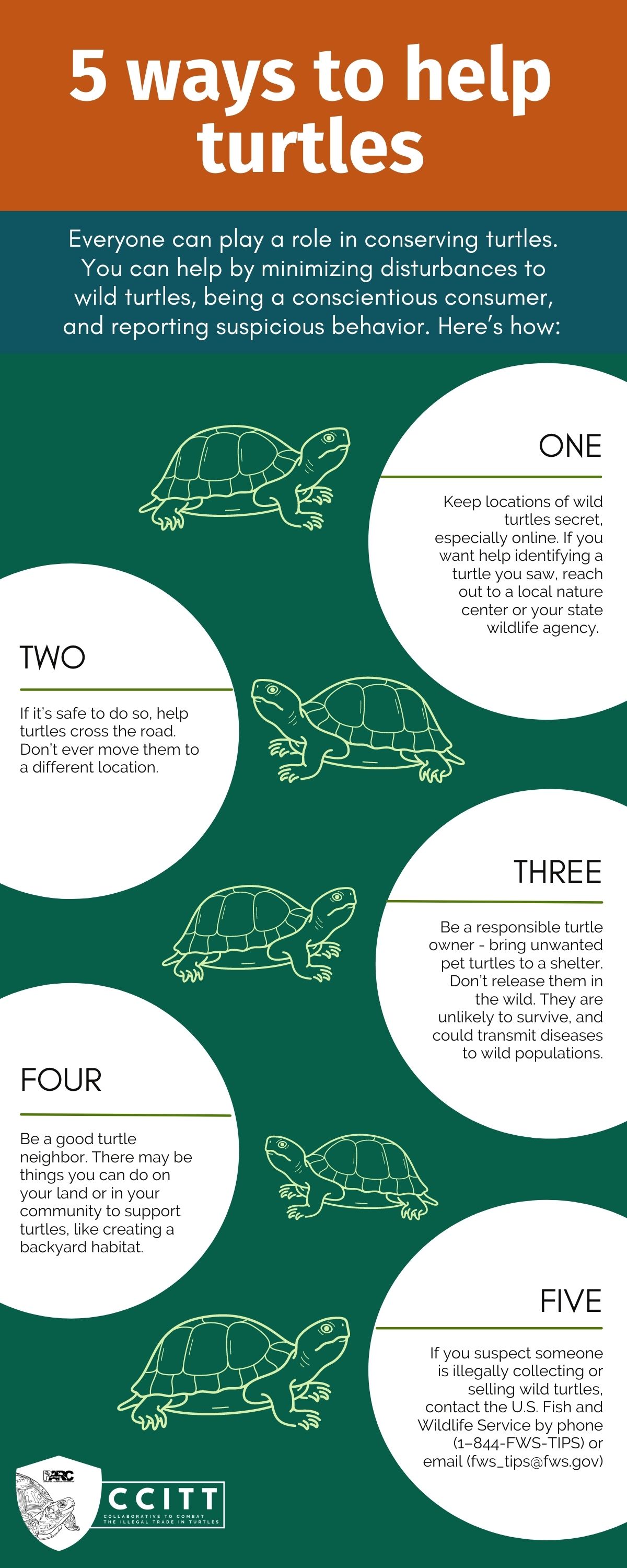 5 ways to help turtles (large).jpg | FWS.gov