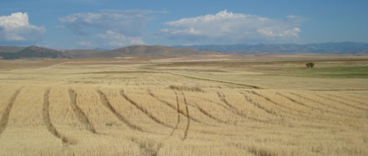 HayingFWS.jpg | FWS.gov