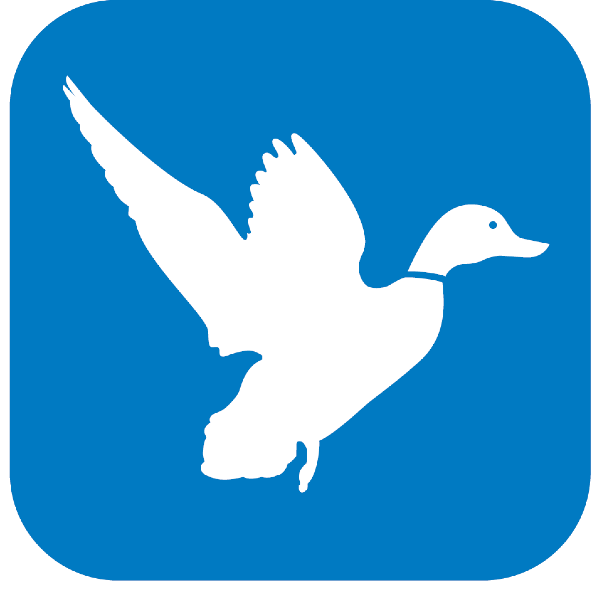 Phase 3 Duck Icon (Large).png | FWS.gov