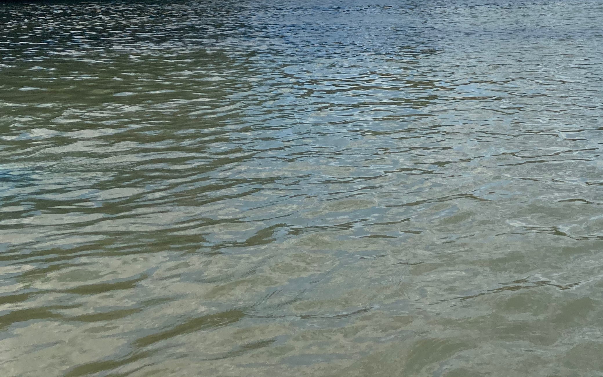 River | FWS.gov