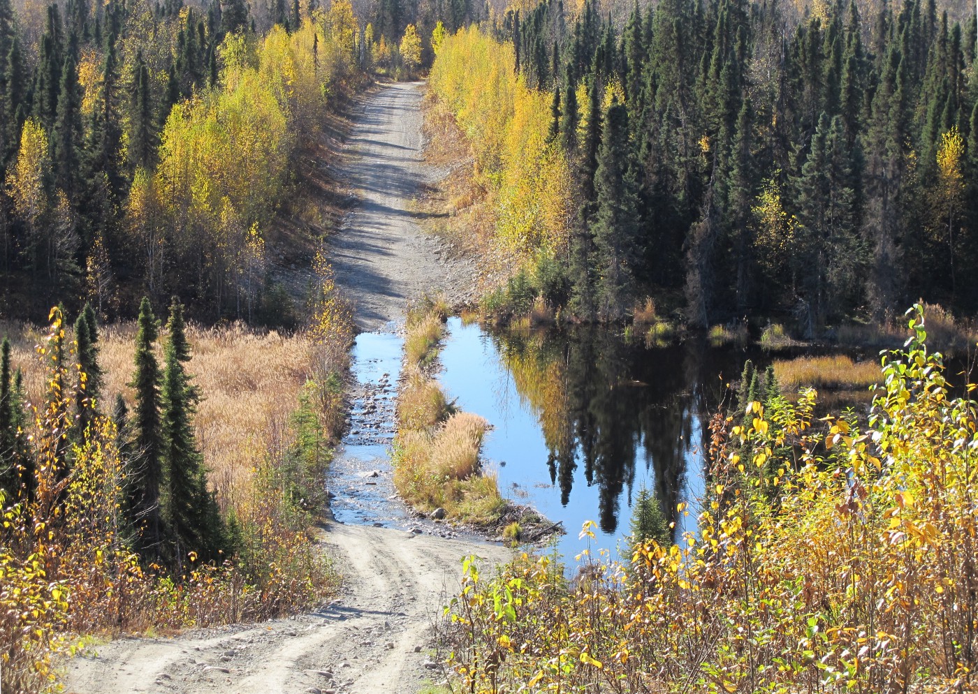 Flooded Alaska Dirt Road | FWS.gov