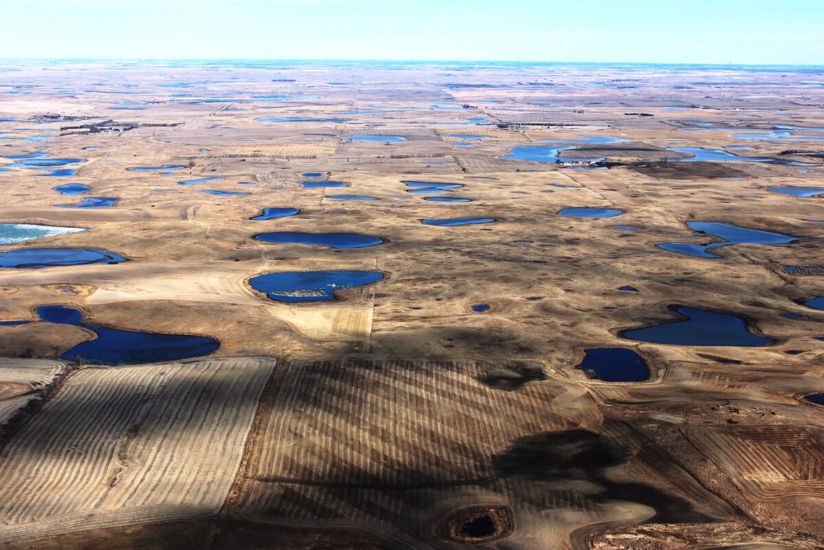 Prairie Pothole Region | FWS.gov