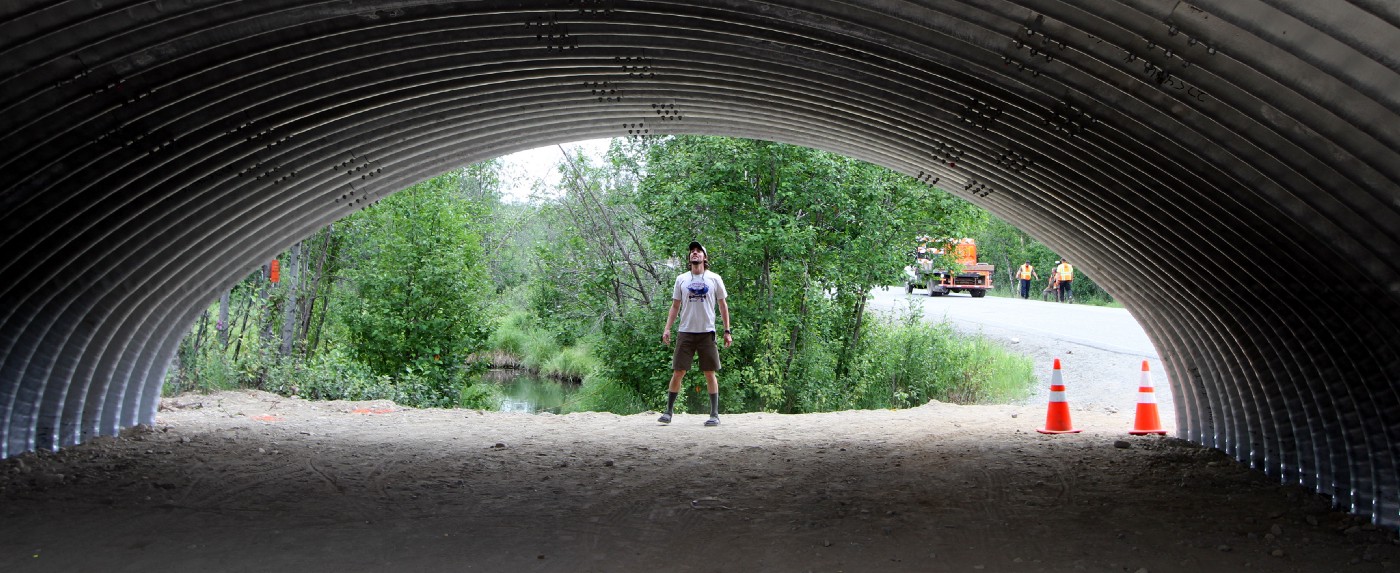Fish Friendly Arch | FWS.gov