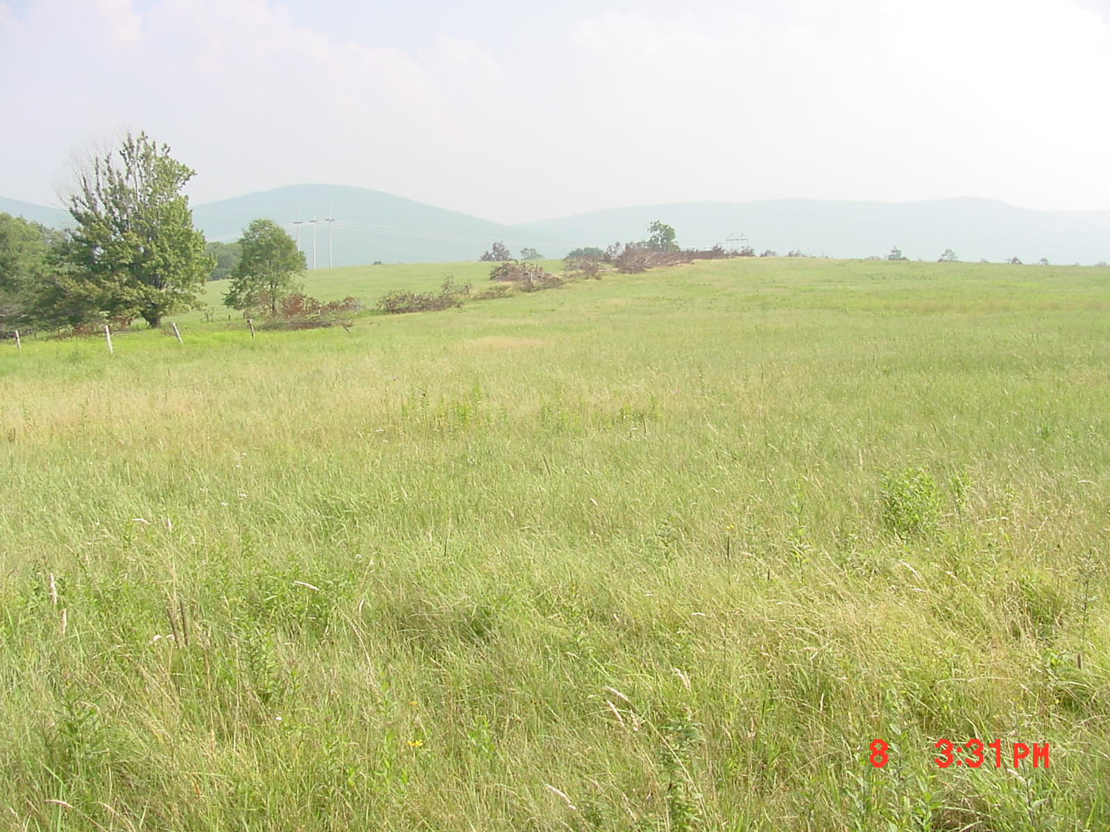Grasslands-Canaan-Valley-NWR-Ken-Sturm | FWS.gov