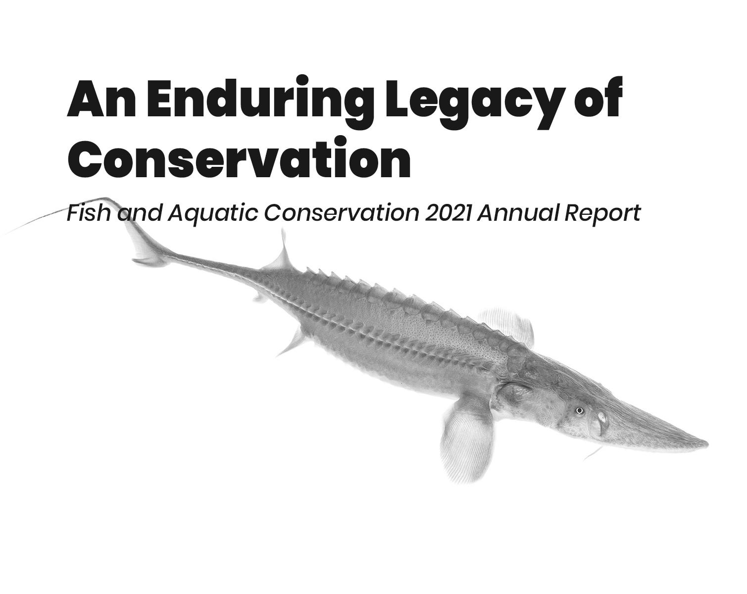 An Enduring Legacy of Conservation | FWS.gov