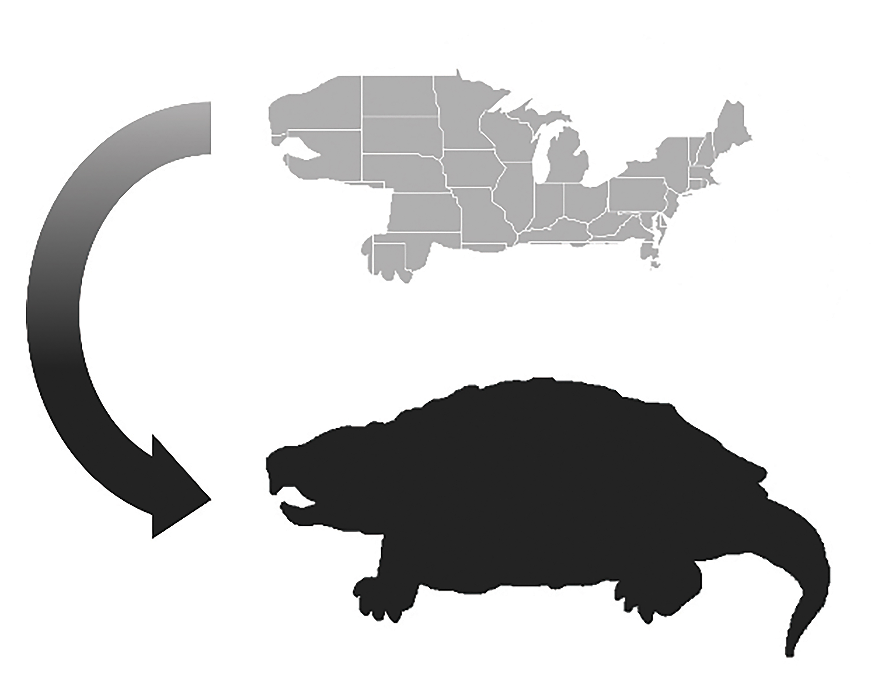 The effects of Fragmented Management | FWS.gov