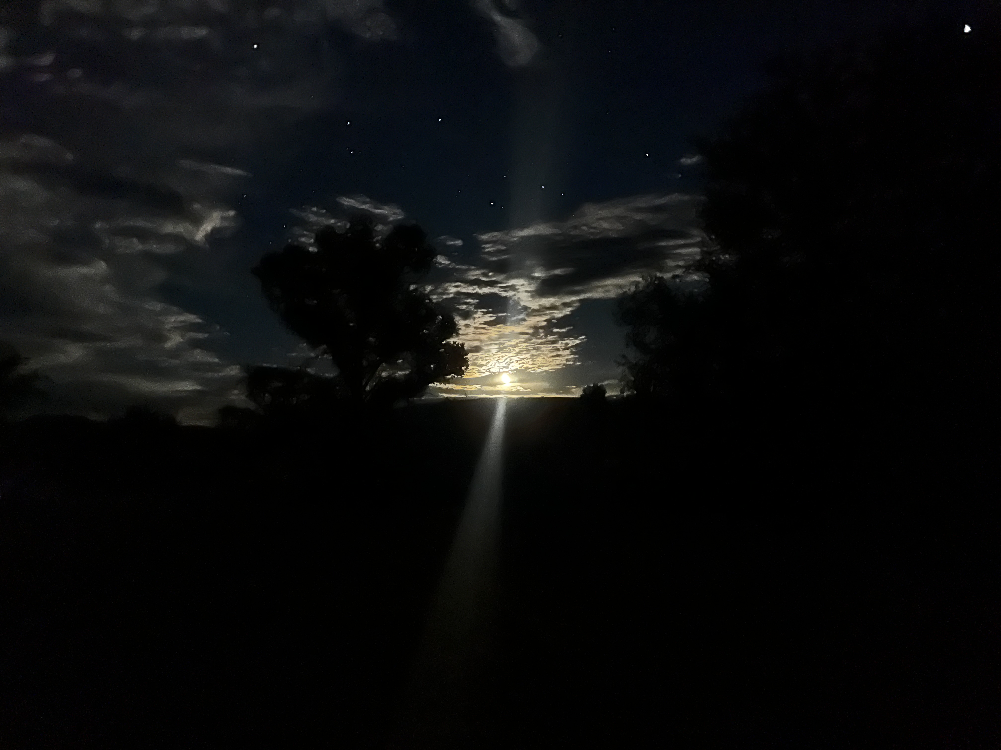 Night sky at Pahranagat Refuge. | FWS.gov
