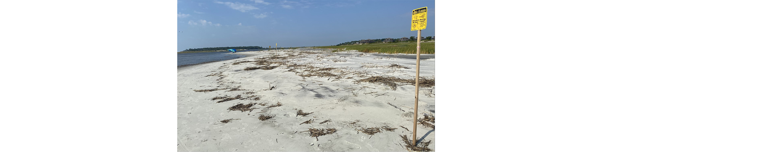 Piping Plover Sign | FWS.gov