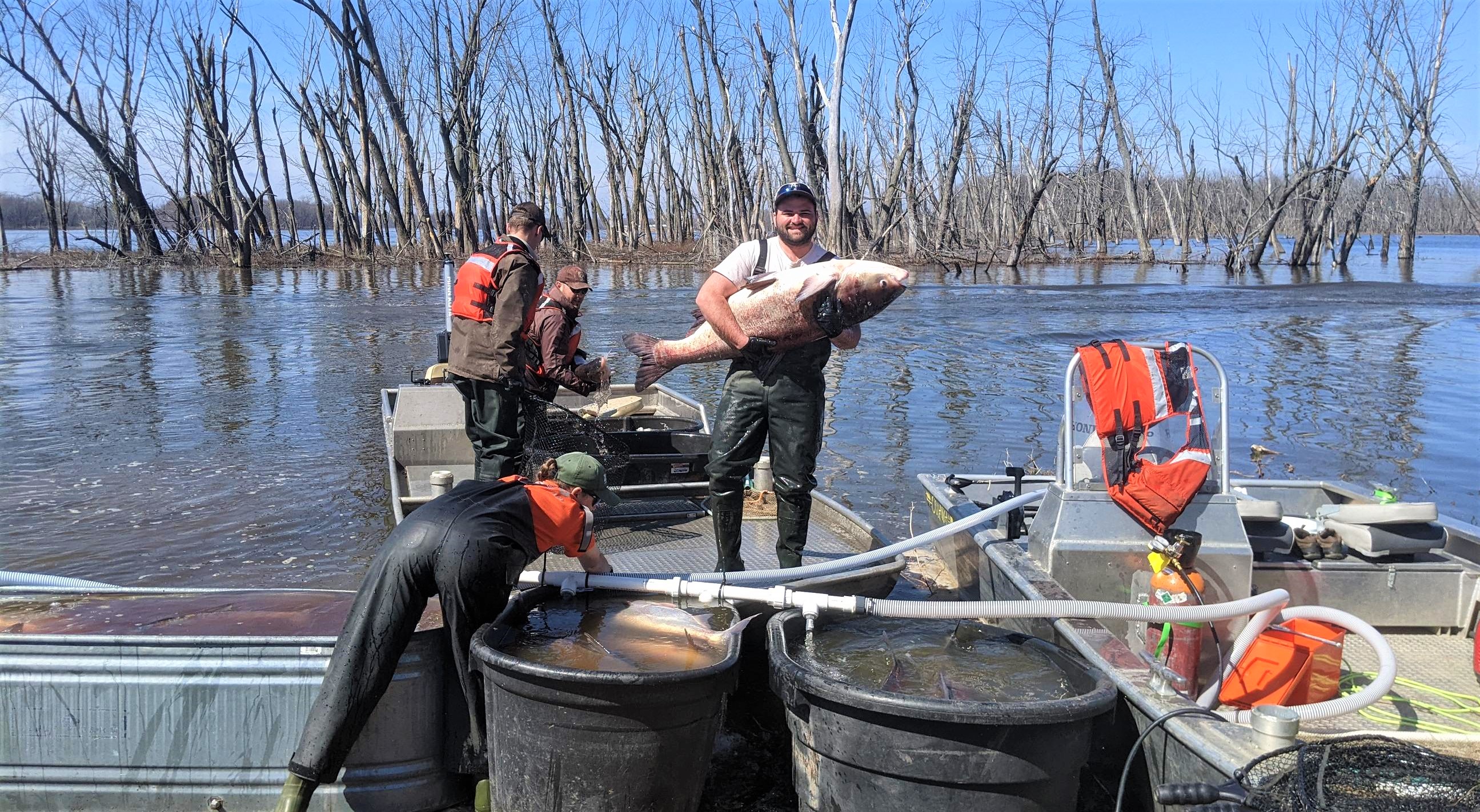 Tracking invasive carp | FWS.gov