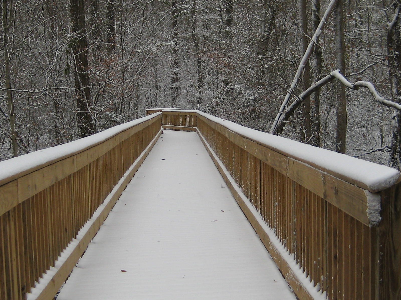 snow covered boardwalk | FWS.gov