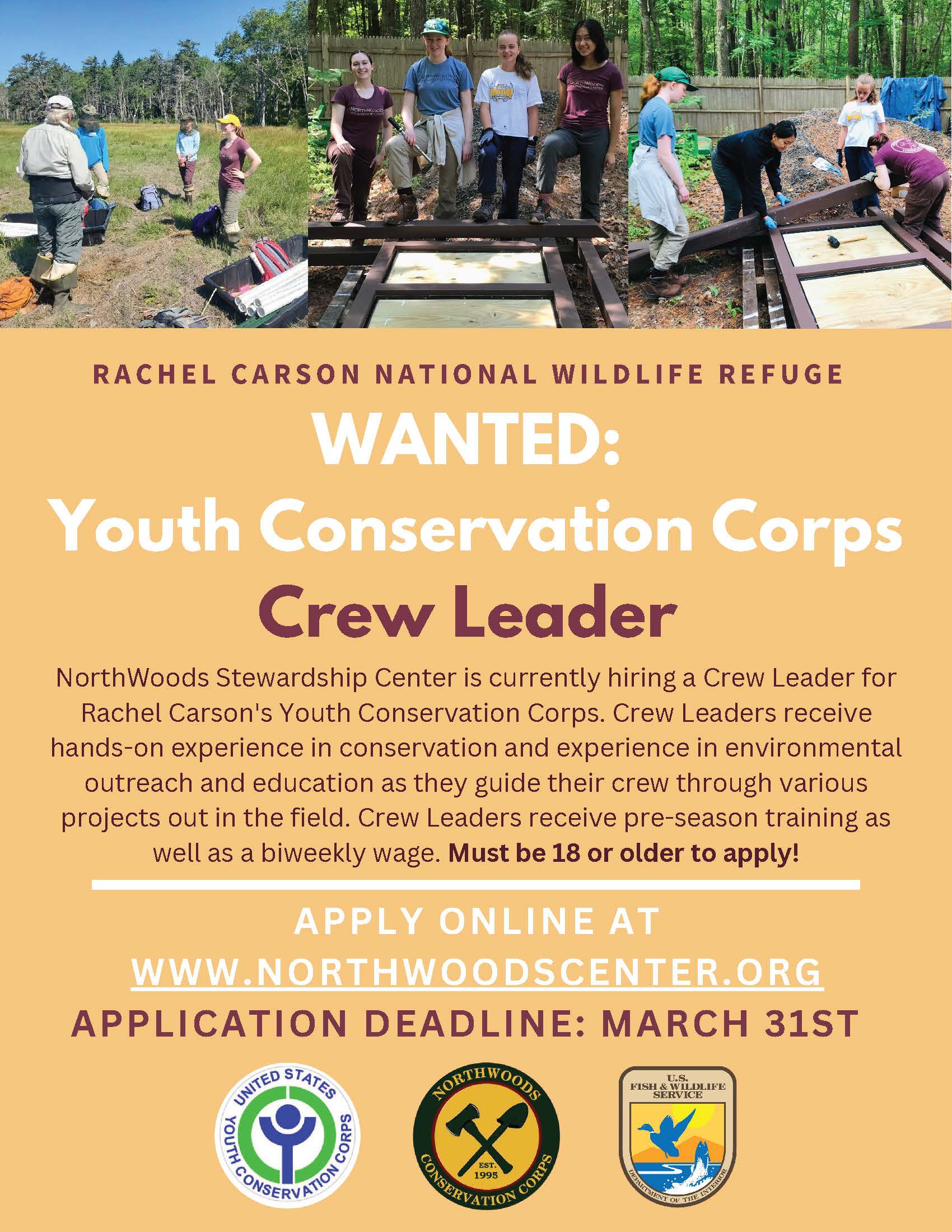 508 Compliant Rachel Carson NWR YCC CREW LEADER Flyer.jpg | FWS.gov