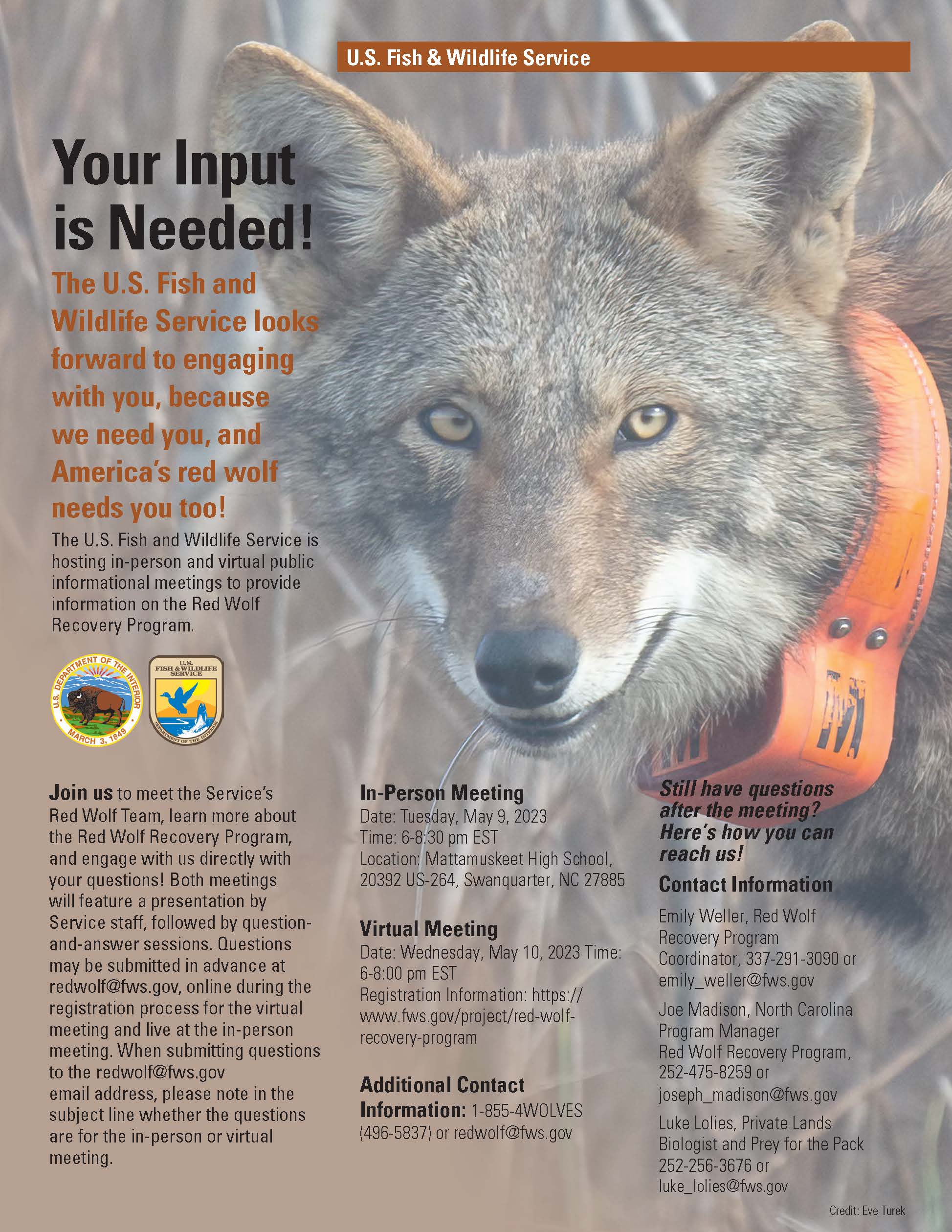 Red_Wolf_Flyer_SpringMeeting_2023_508.jpg | FWS.gov