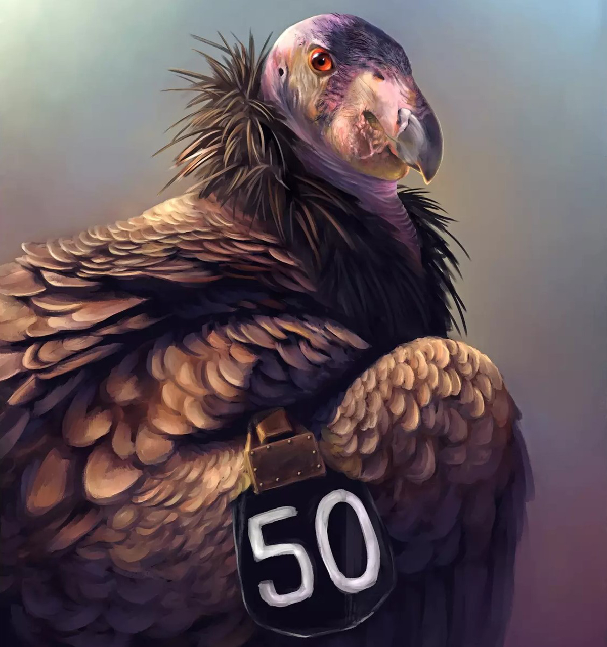 California condor poster | FWS.gov