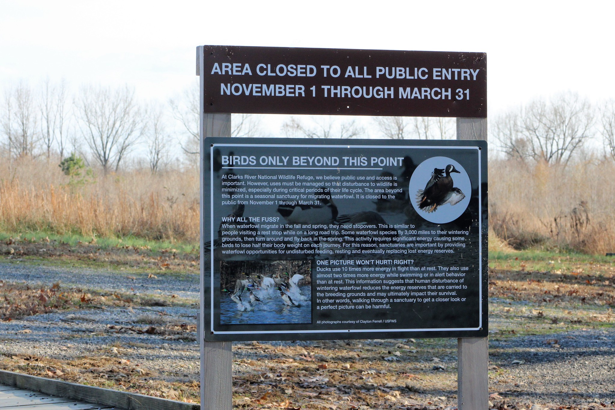 Sanctuary Sign | FWS.gov