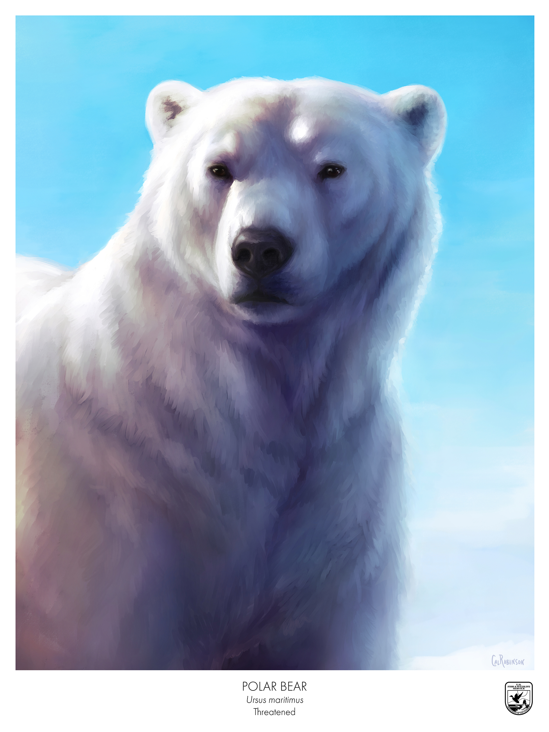 ESA at 50: Polar bear poster | FWS.gov