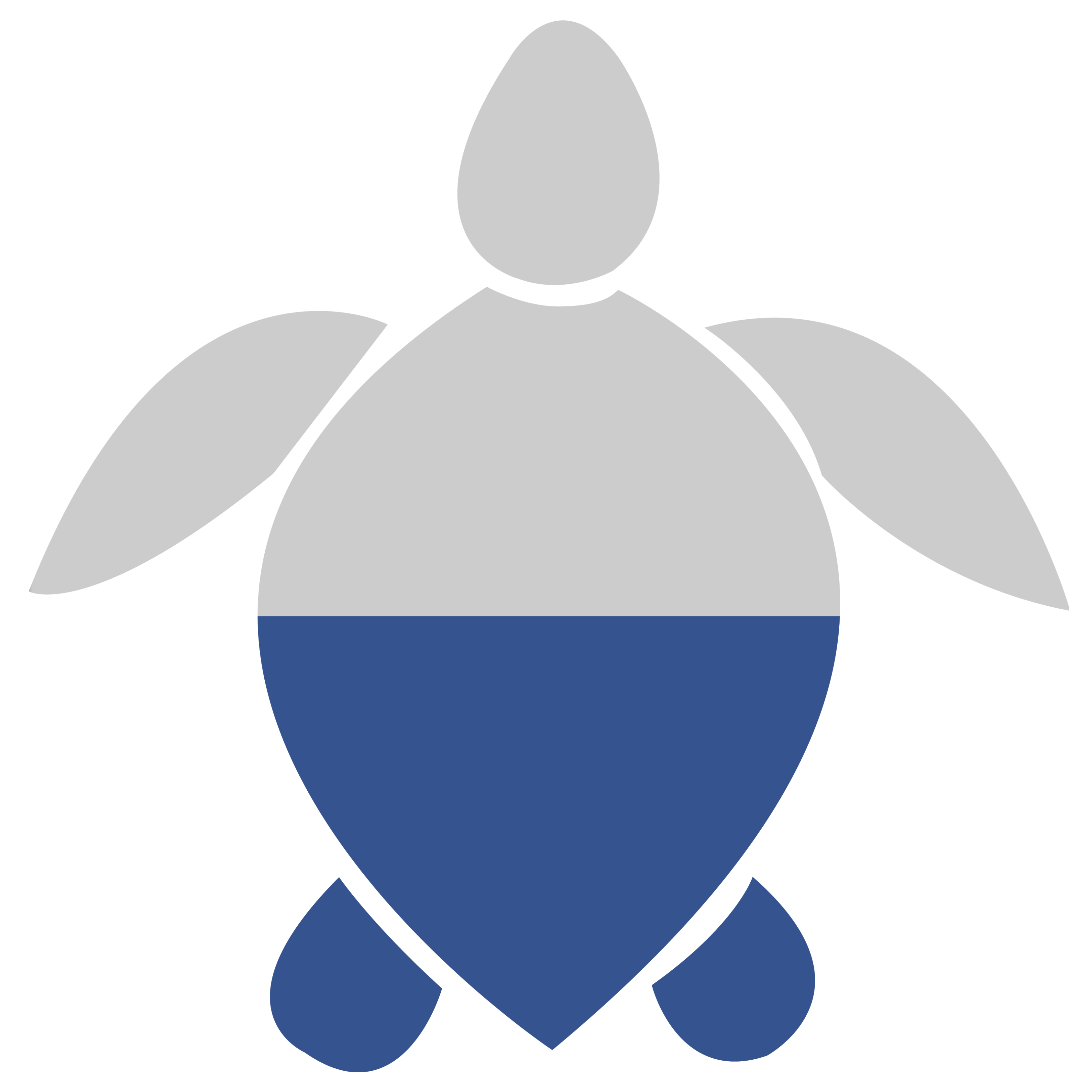 Sea turtle icon showing nesting success and mortality rate levels | FWS.gov