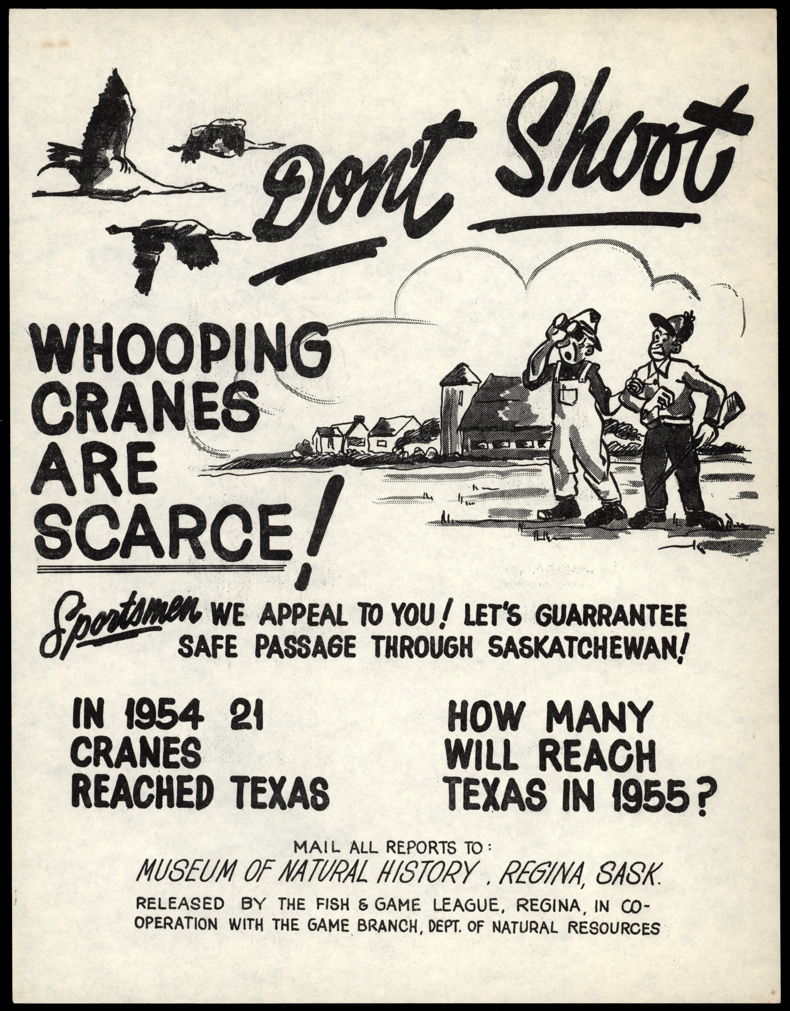 Whooping Crane Public Awareness Poster | FWS.gov