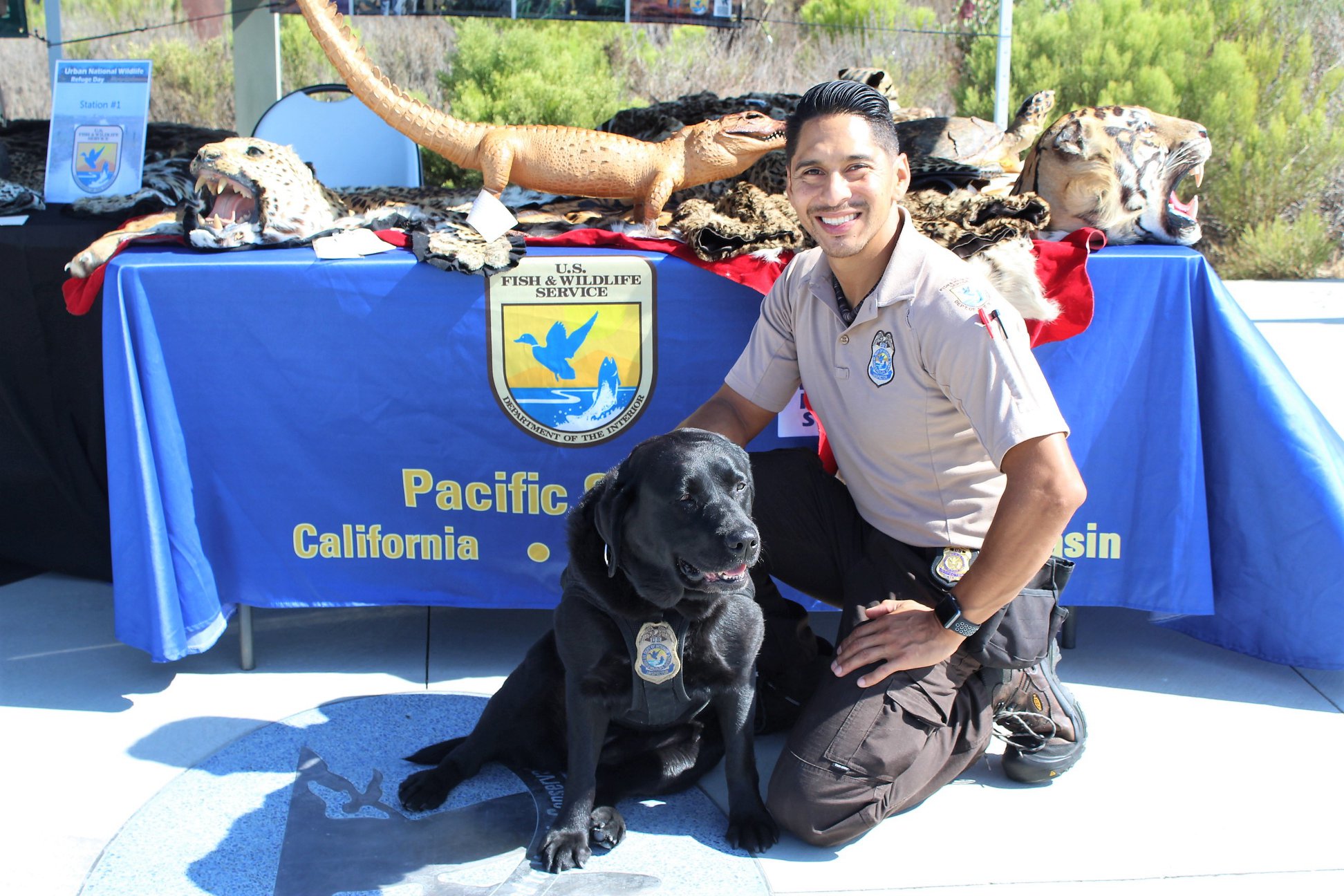 K-9 Lockett with wildlife inspector Ray Hernandez | FWS.gov
