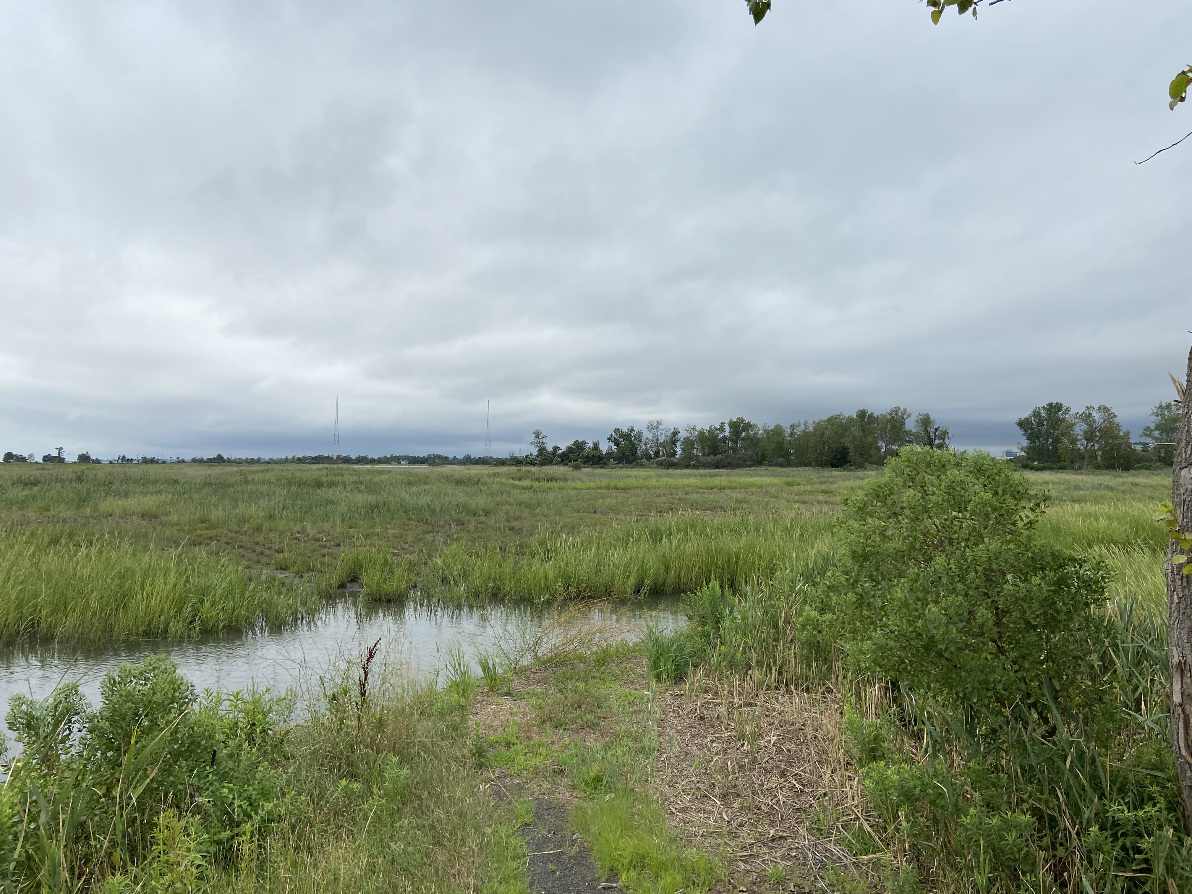 Great Meadows Marsh restored | FWS.gov