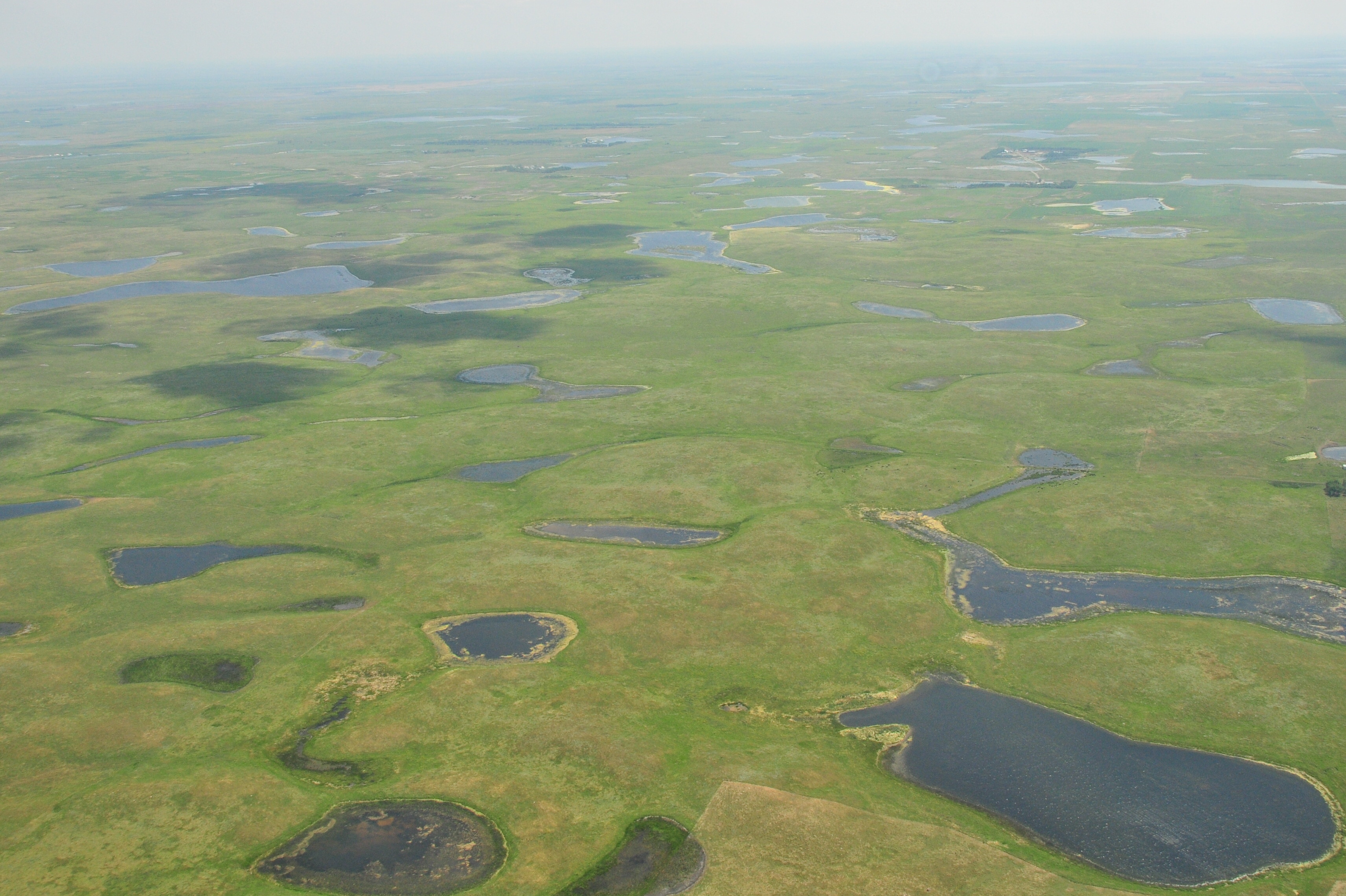 Sand Lake Wetlands | FWS.gov