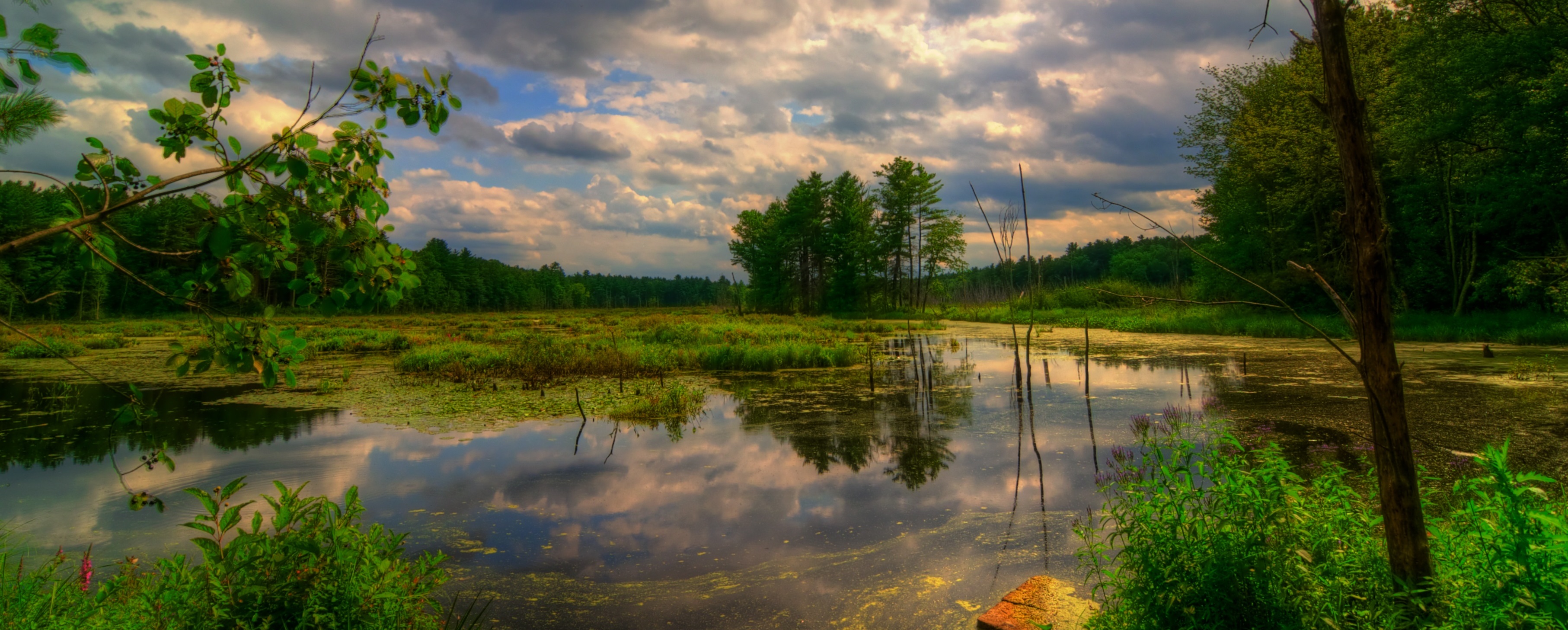 Puffer Pond at Assabet River National Wildlife Refuge | FWS.gov