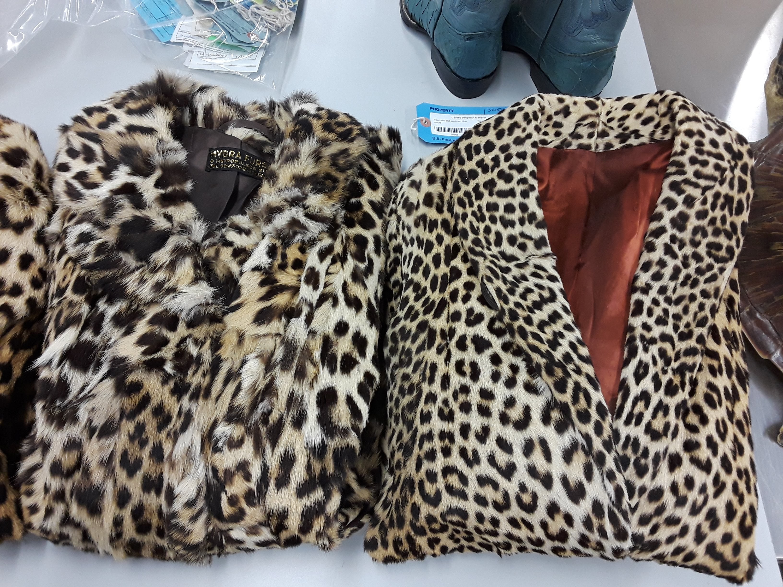 20220211_085835.jpg | FWS.gov