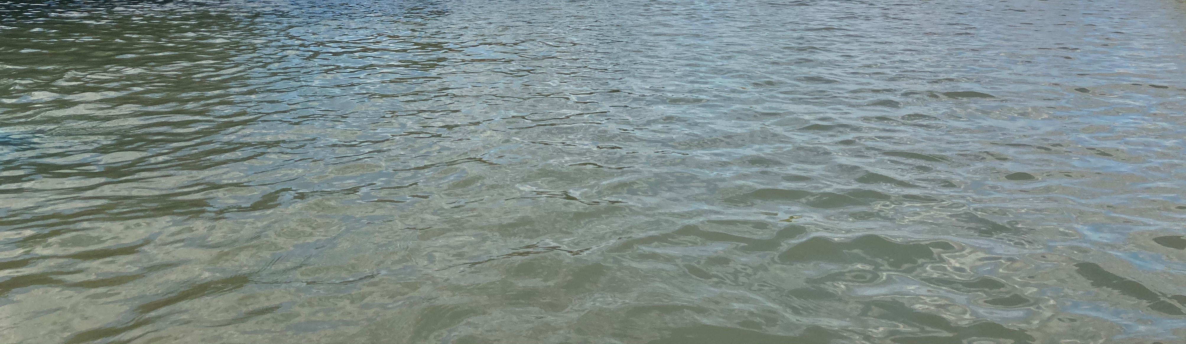 banner river | FWS.gov