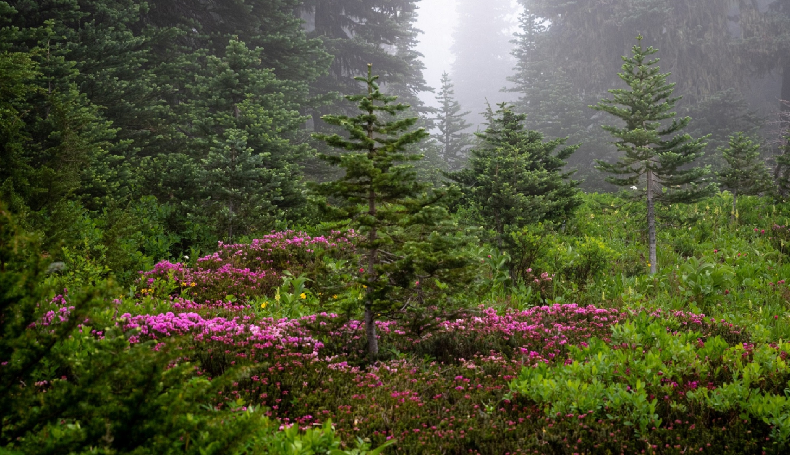 20210716_5.jpg | FWS.gov