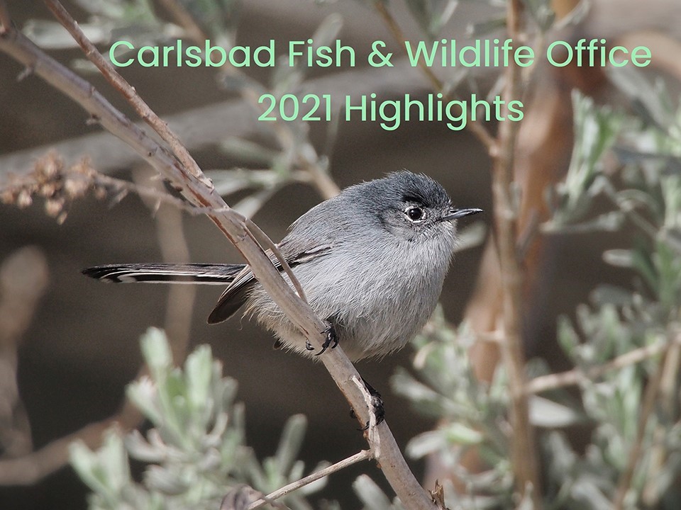 Annual Report | FWS.gov