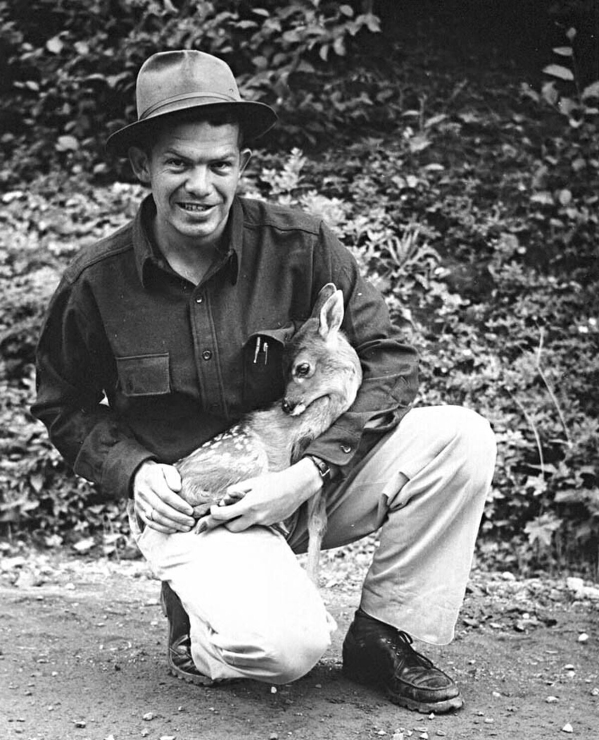 Sigurd T. Olson and Black-tailed fawn | FWS.gov