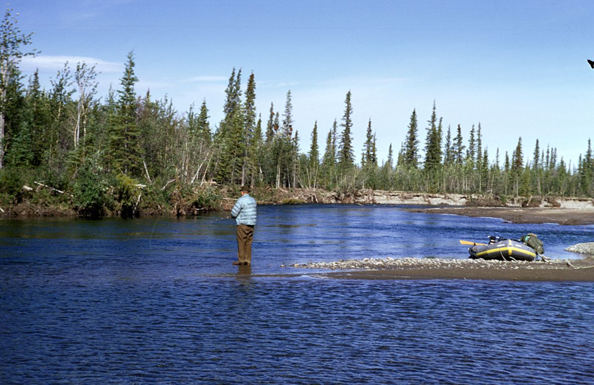 Fly fishing for Grayling on the Coleen River | FWS.gov