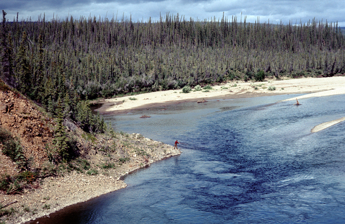 Middle Coleen River in Summer | FWS.gov