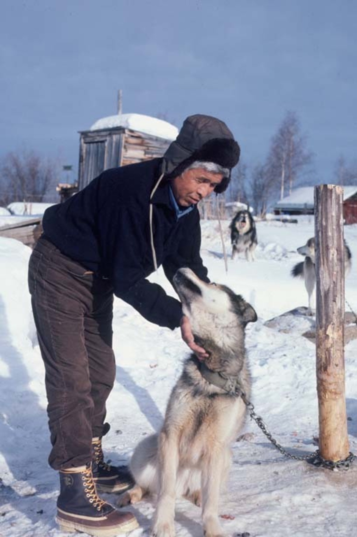 Local resident with sled dog | FWS.gov