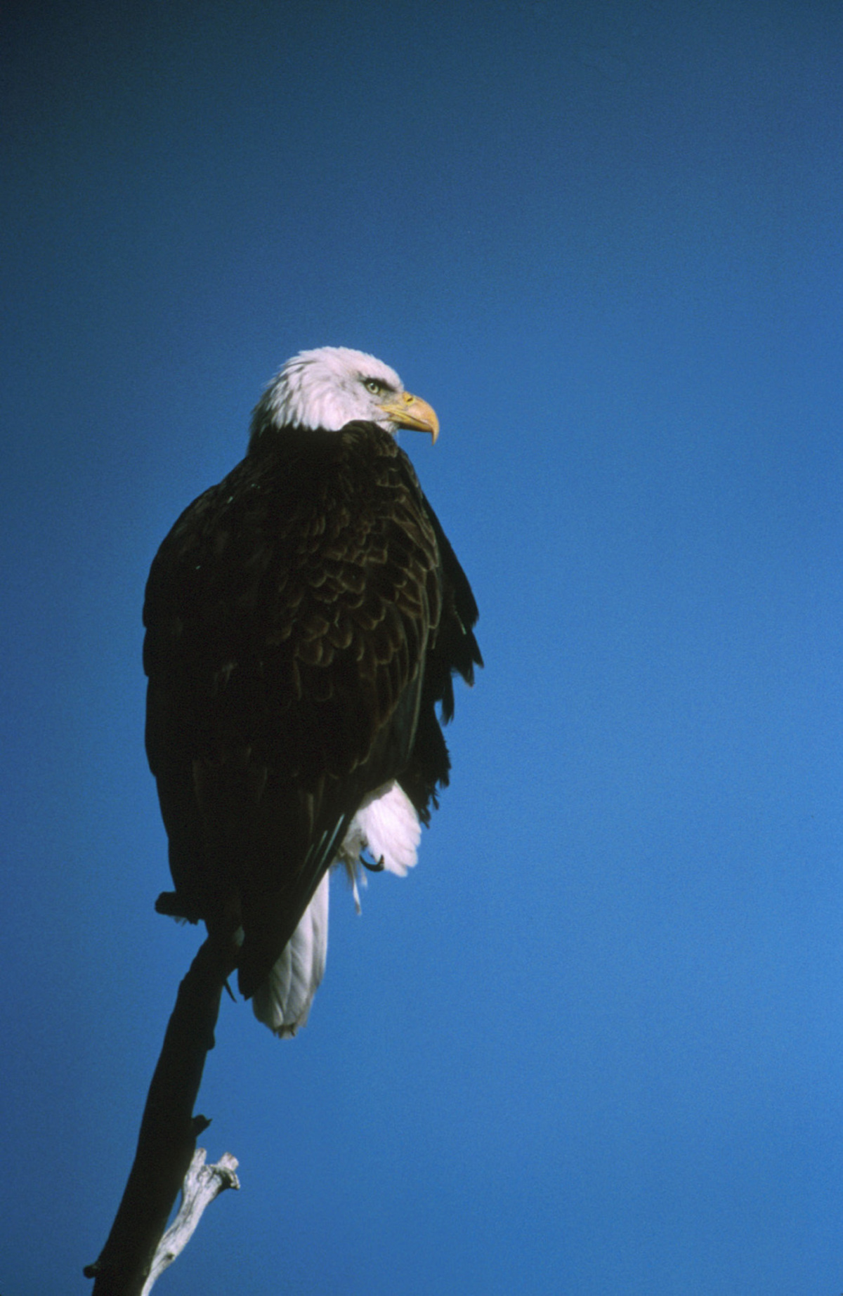 Patoga River National Wildlife Refuge | FWS.gov