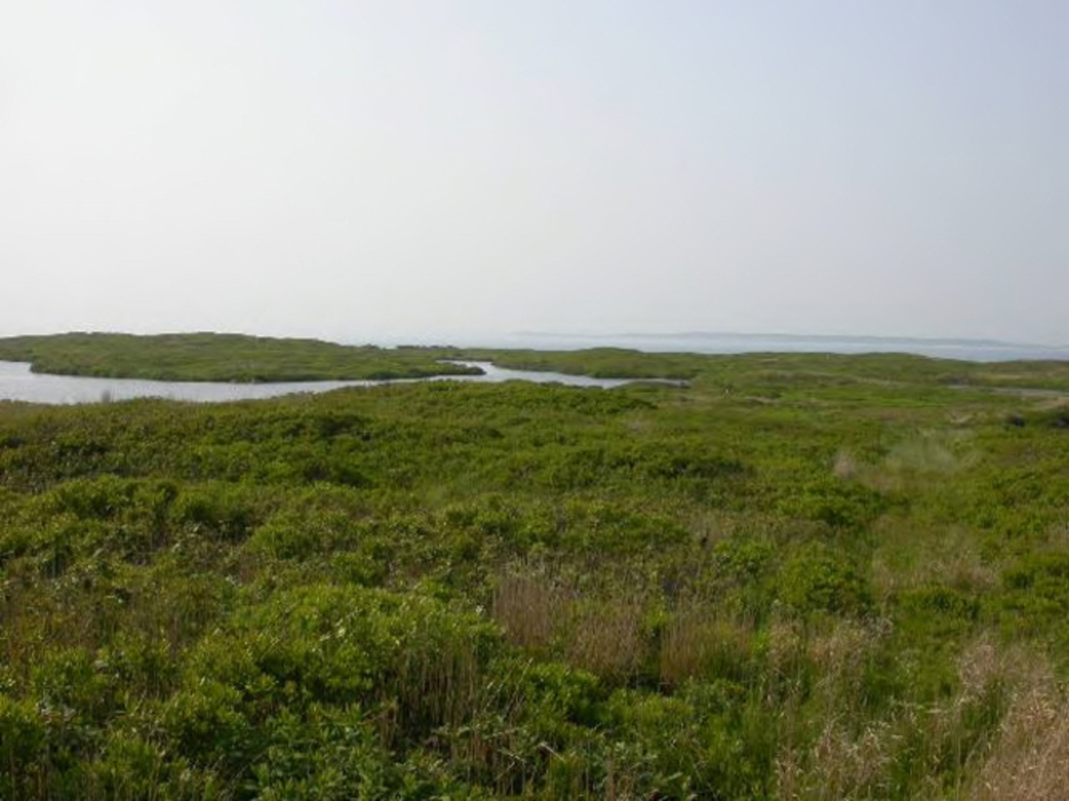 Nomans Island | FWS.gov